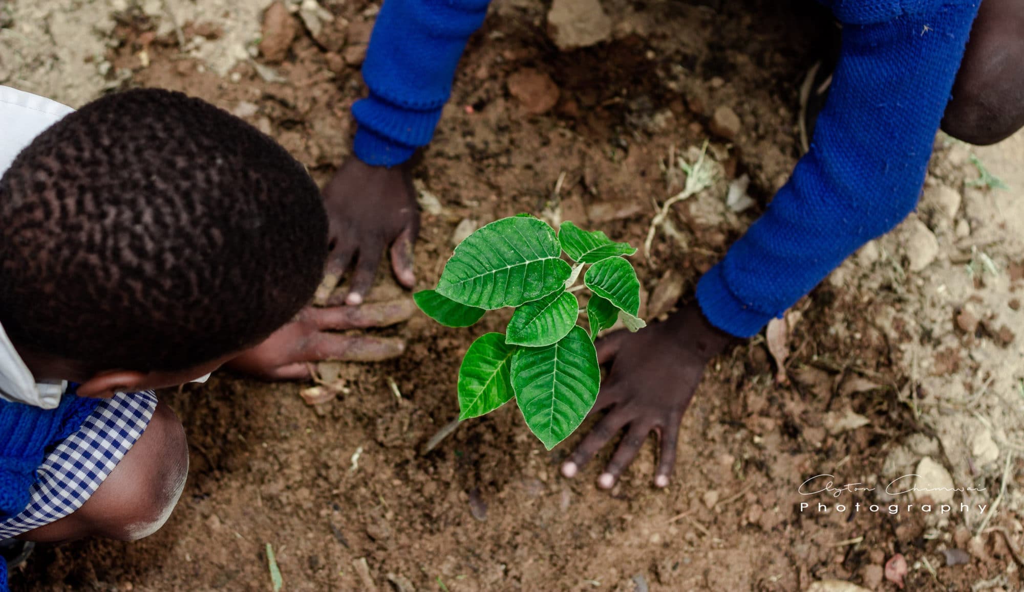 Initiatives for Sustainable Development - Macheke Sustainability Project